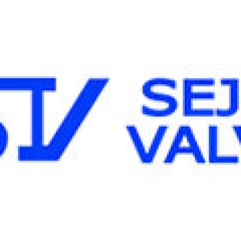 SEJIN VALVE - KCL VALVE